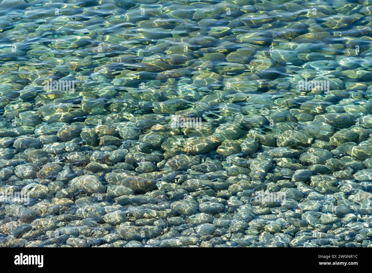 Sunny waterside scenery showing a shore with lots of pebbles seen in ...