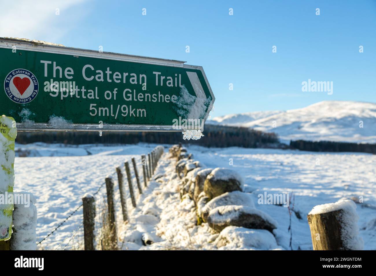 No shee hi-res stock photography and images - Alamy