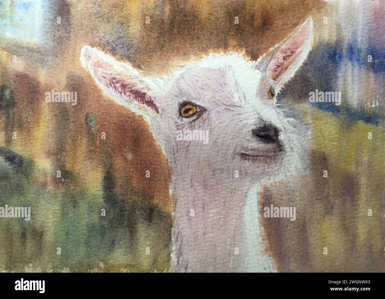 watercolor painting of goat. watercolor on paper. Hand painted Stock ...