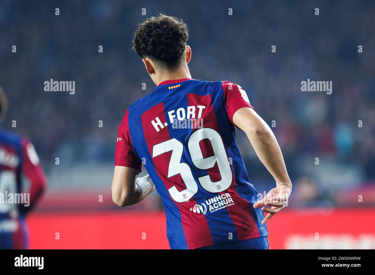 Hector fort hi-res stock photography and images - Alamy