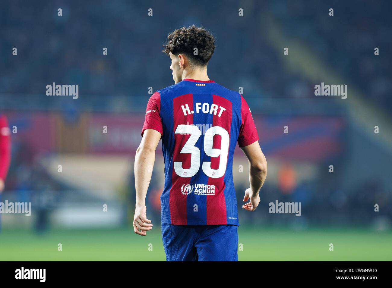 Hector fort hi-res stock photography and images - Alamy