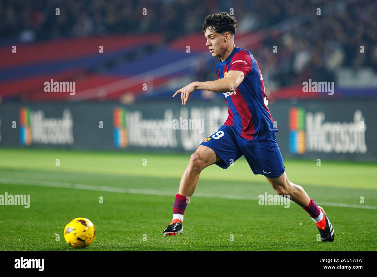 Hector fort hi-res stock photography and images - Alamy