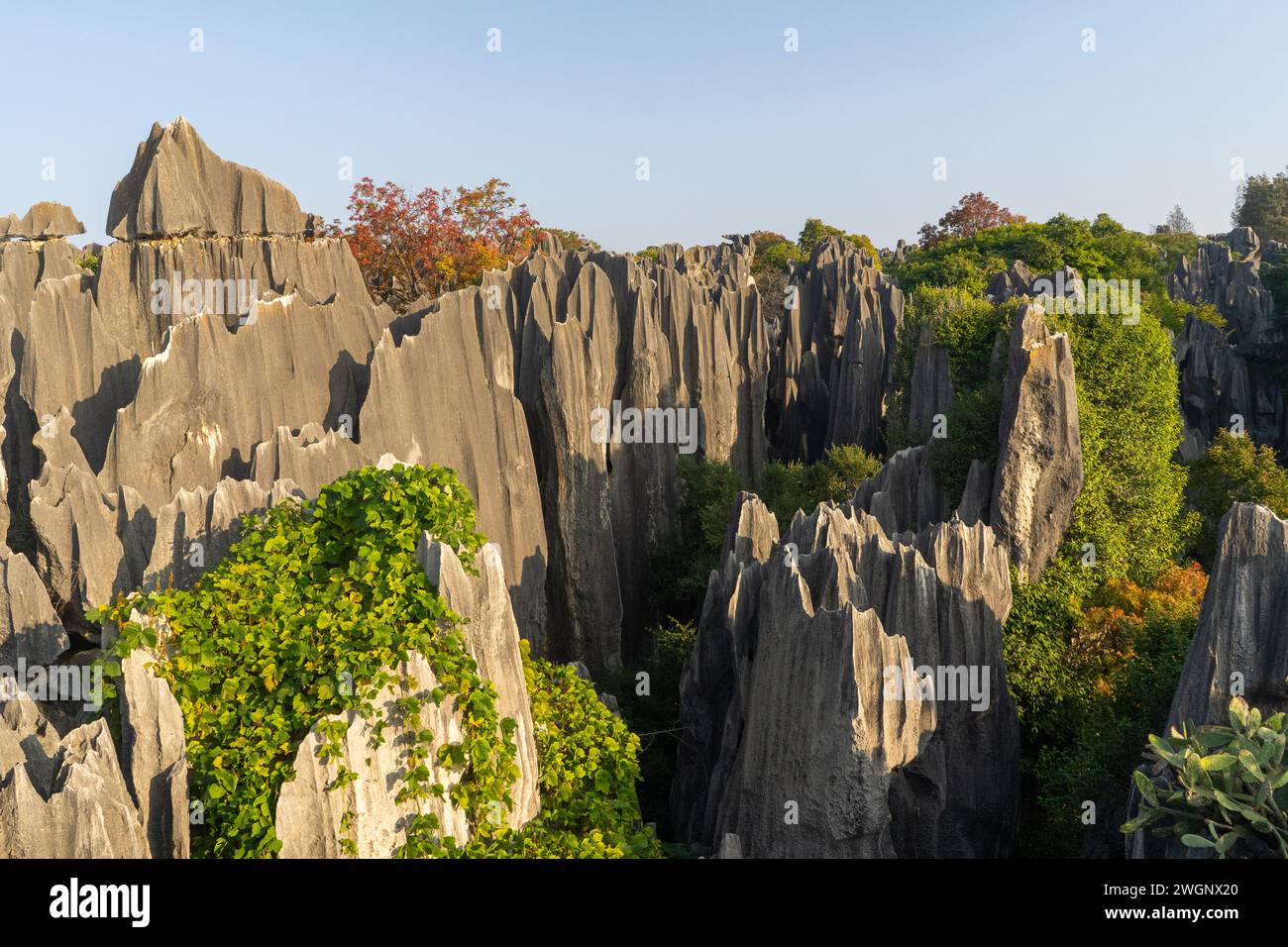 2023 stone forest hi-res stock photography and images - Alamy