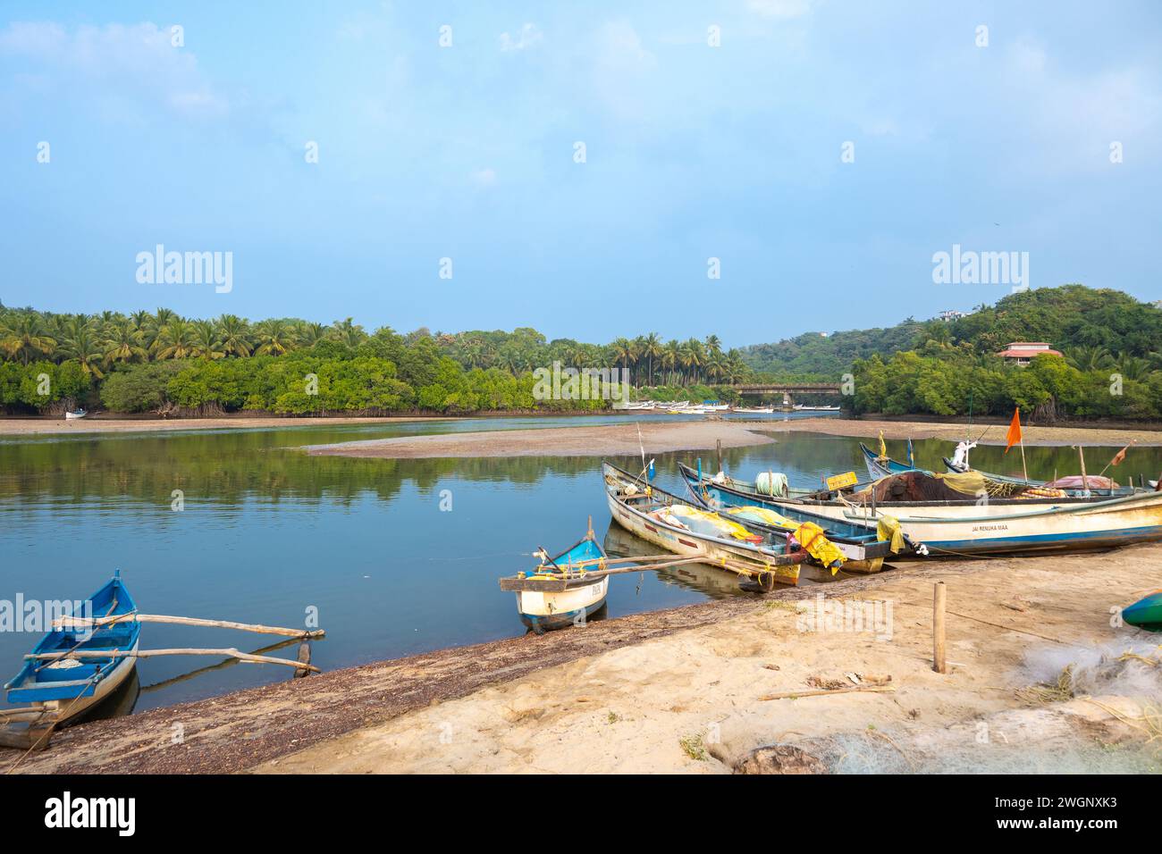 Goa beach palm trees hi-res stock photography and images - Alamy