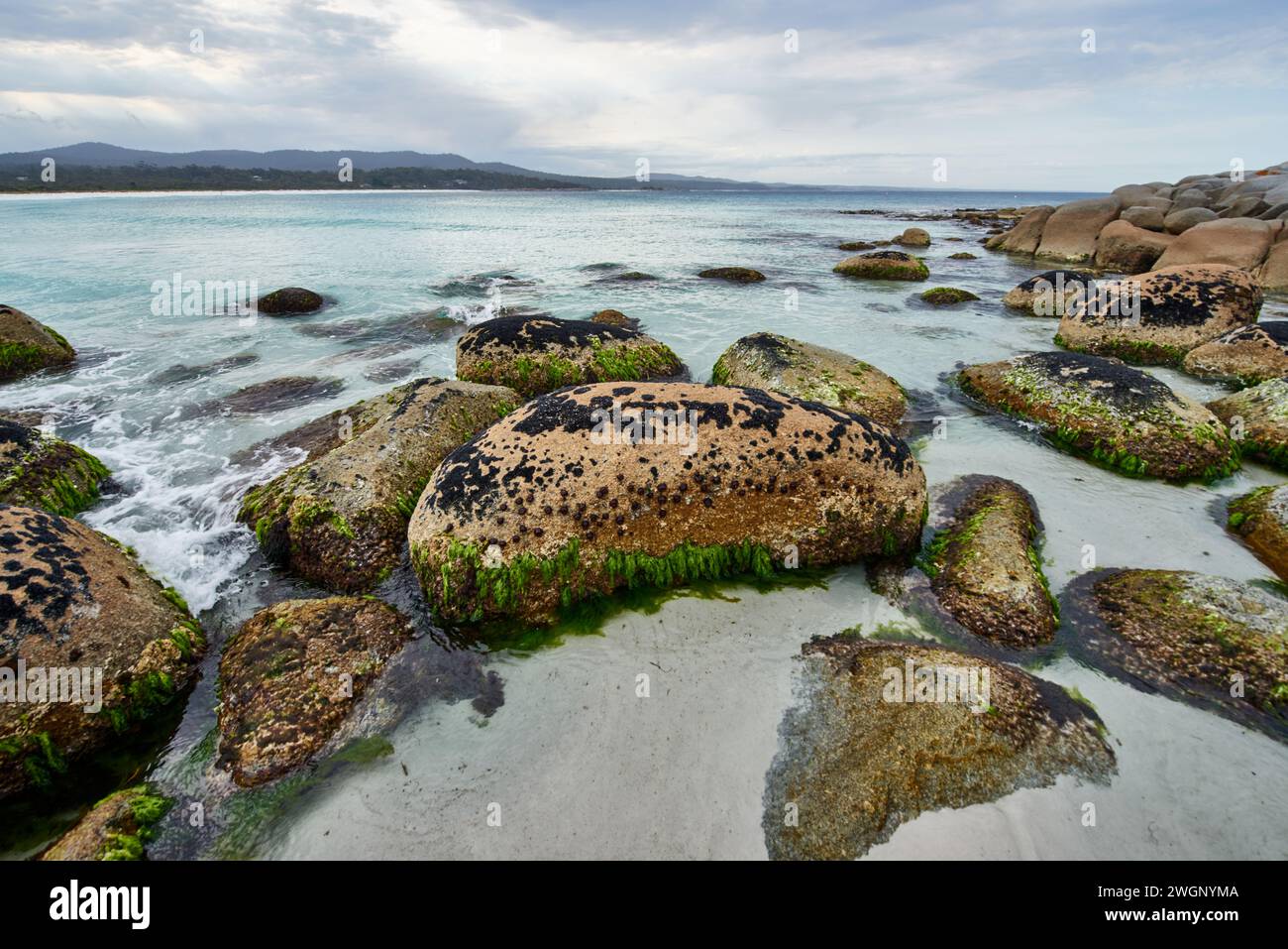 Moss-covered rocks and seaweed in shallow waters of an open sea Stock ...