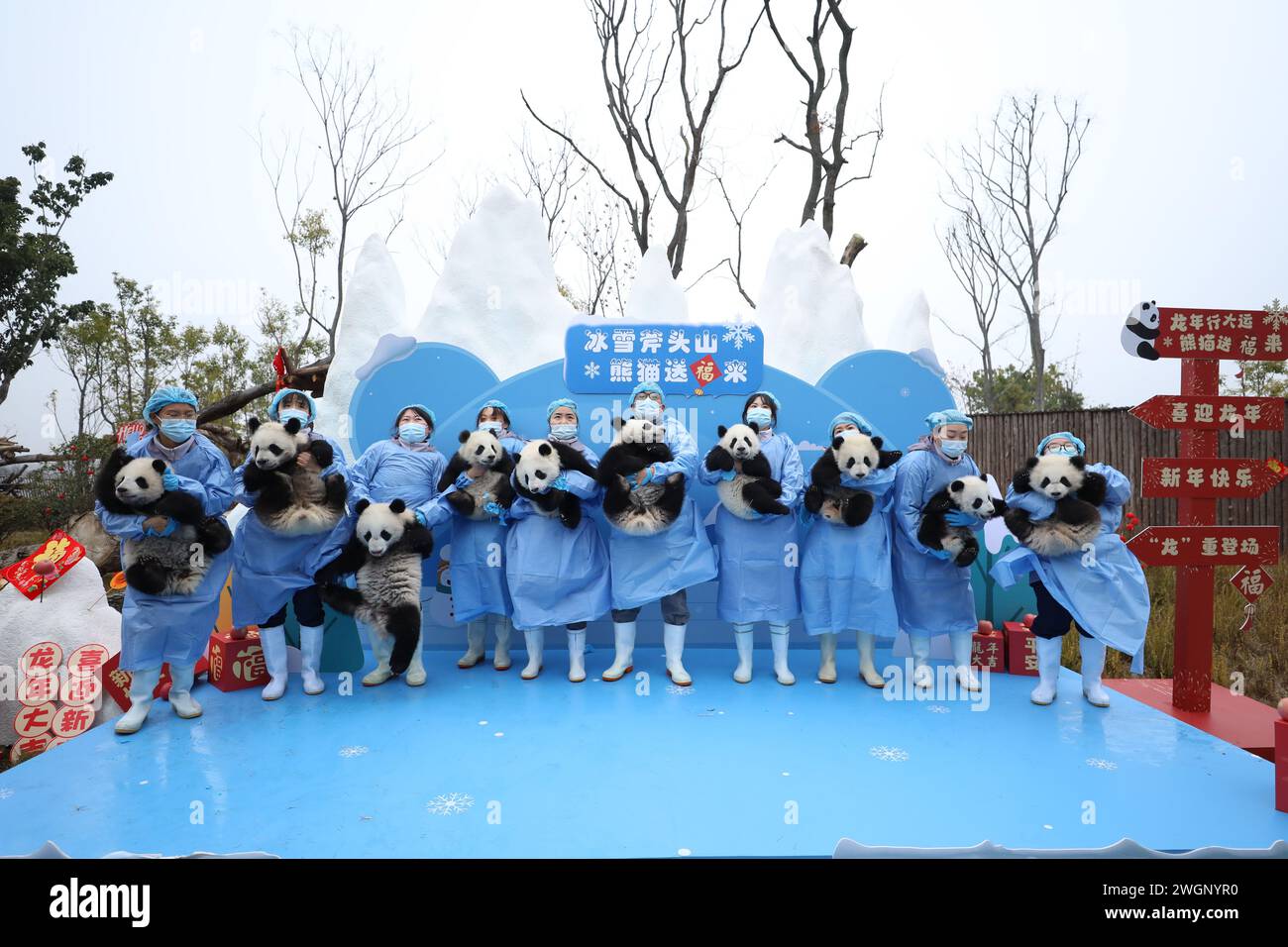 (240206) -- CHENGDU, Feb. 6, 2024 (Xinhua) -- Staff members hold giant ...