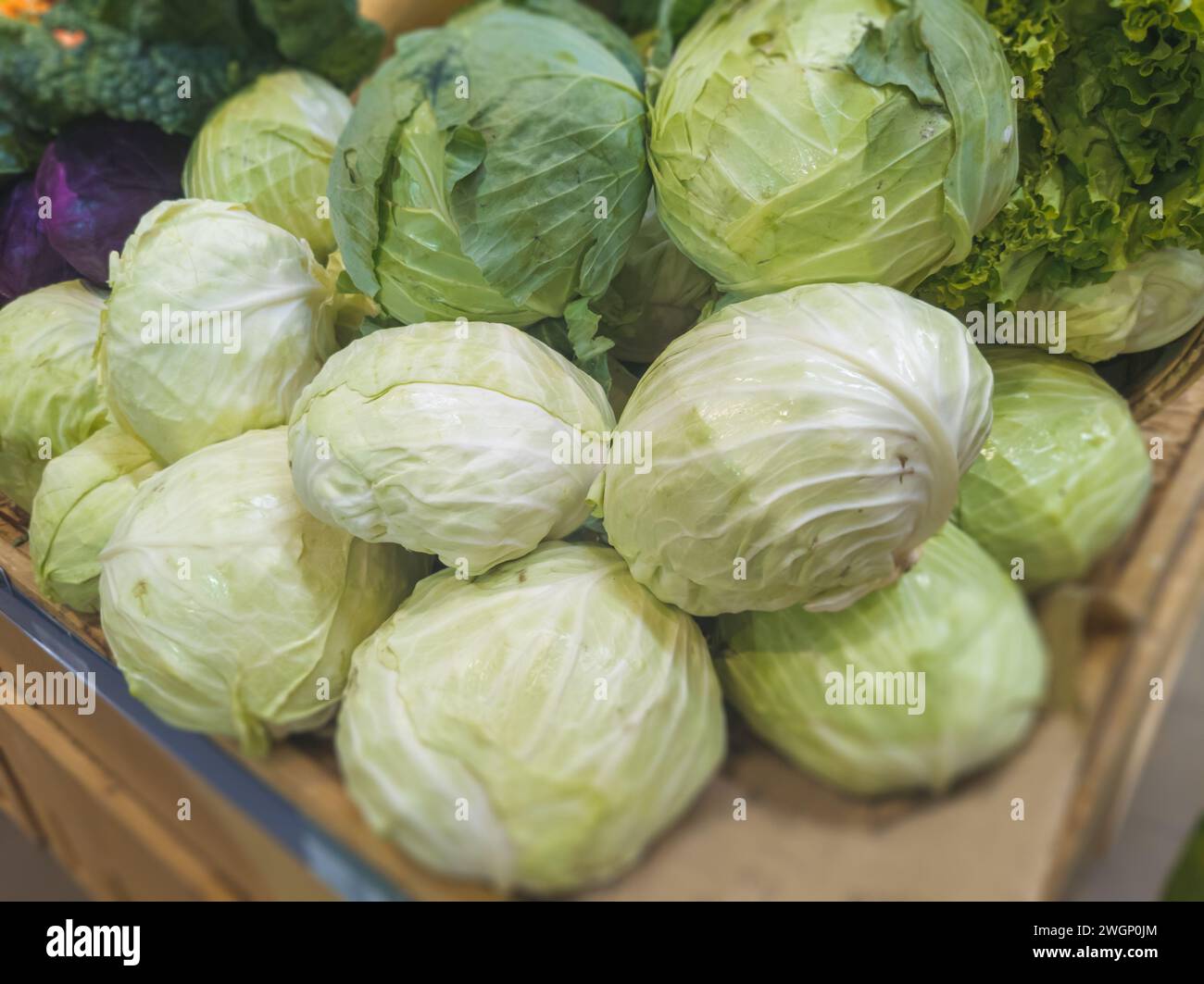 Supermarket cabbages hi-res stock photography and images - Alamy