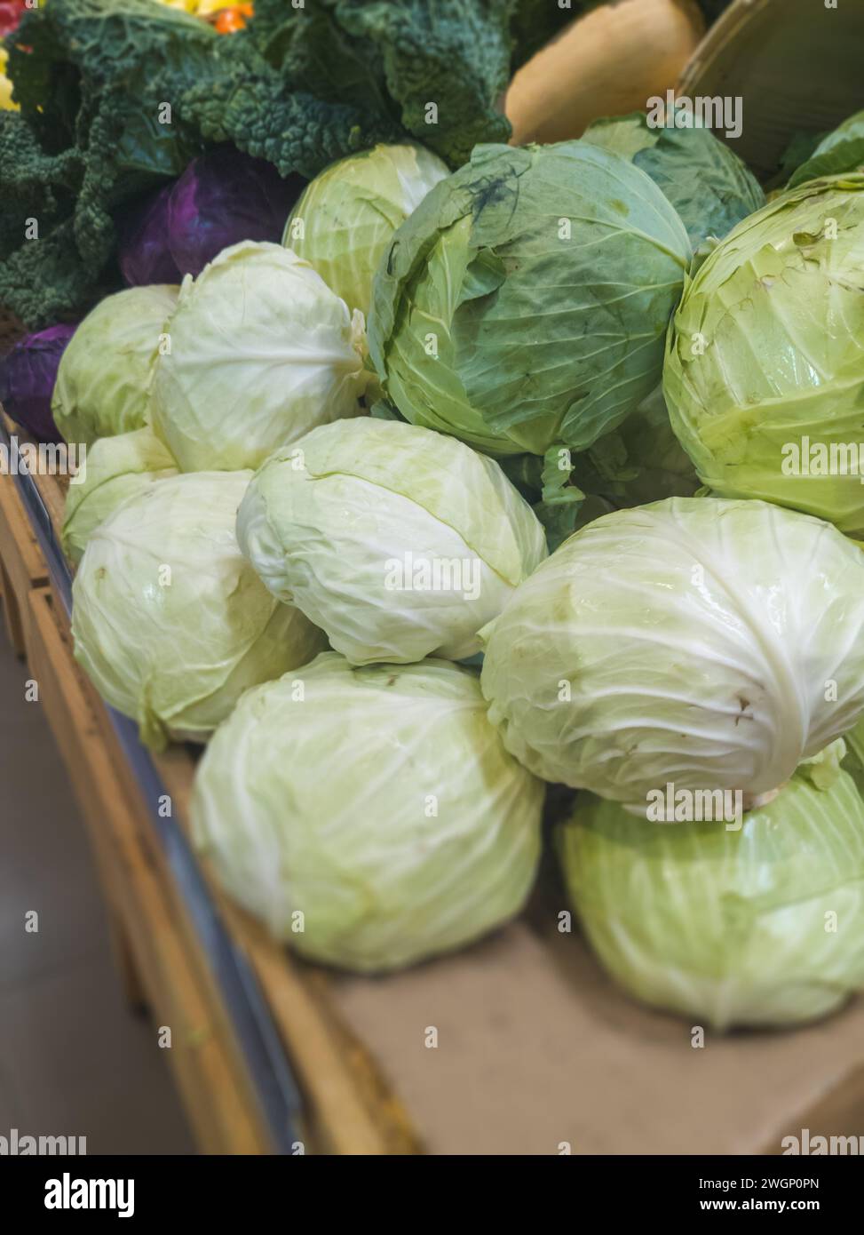 cabbage for sale in supermarket Stock Photo - Alamy