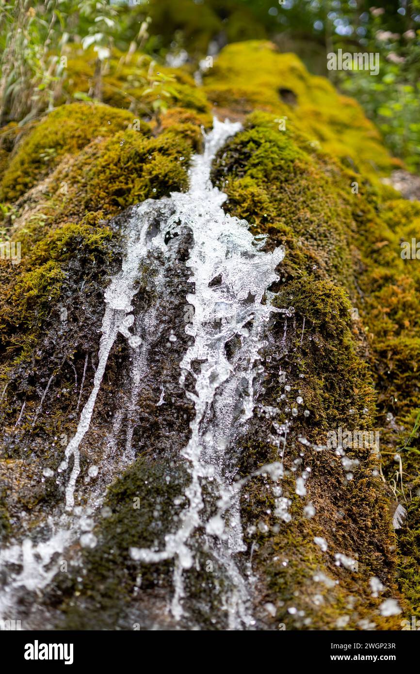 clean spring water running down moss covered mountain Stock Photo - Alamy