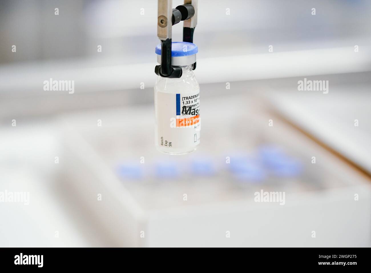 Mannheim, Germany. 06th Feb, 2024. A robotic arm holds a vial ...