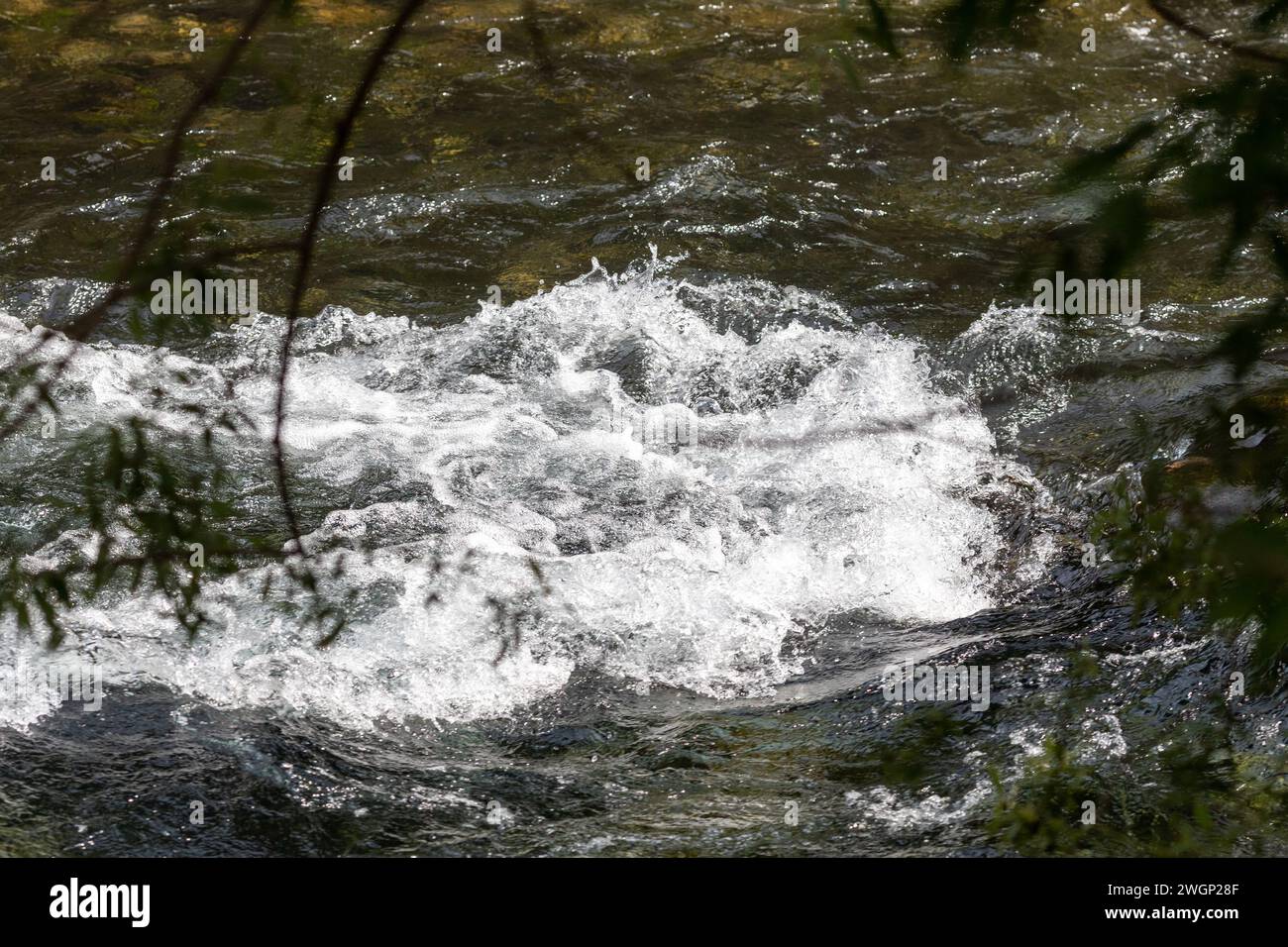 river whirlpool spinning up close Stock Photo - Alamy