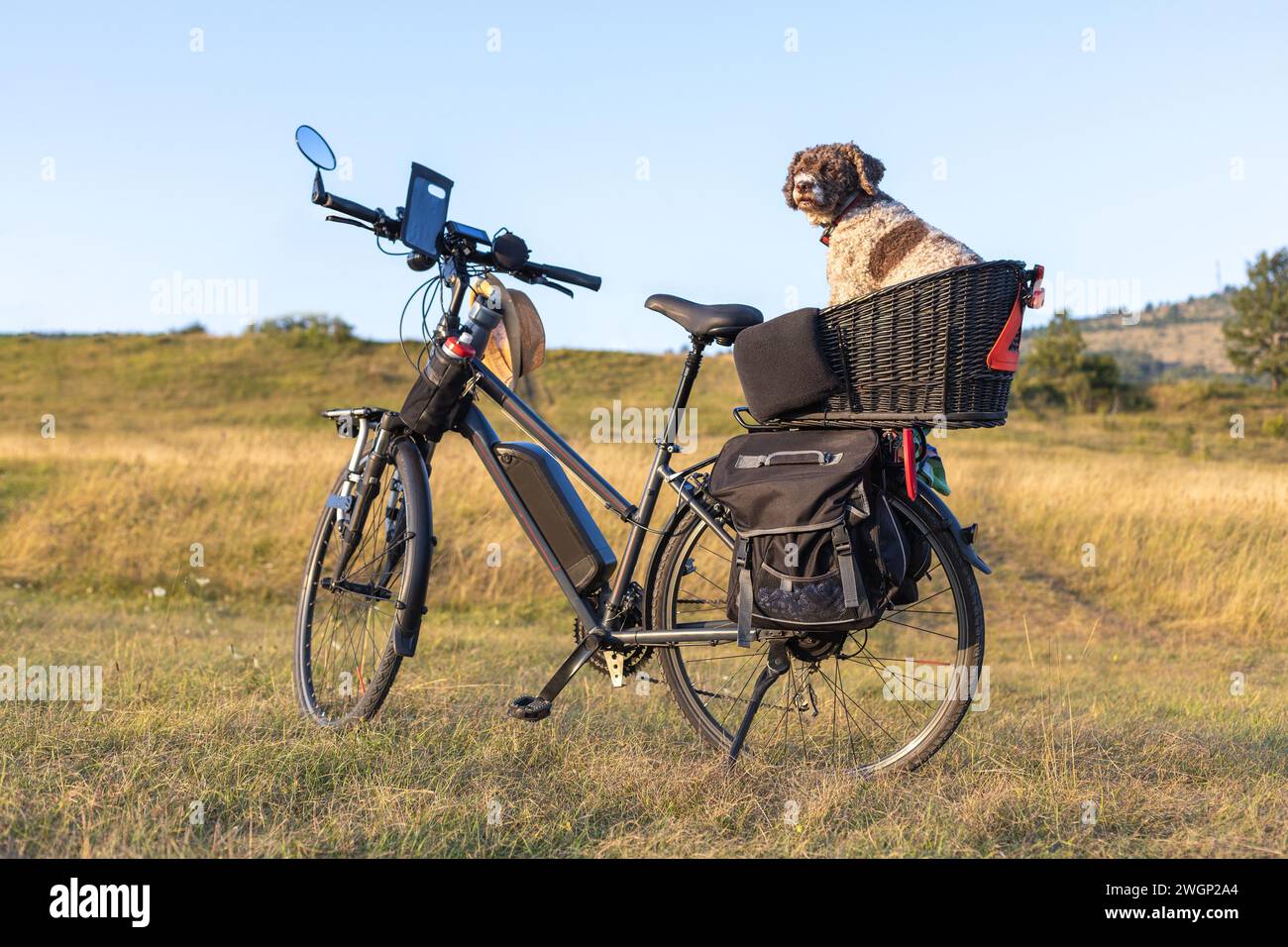 With basket and panniers hi-res stock photography and images - Alamy