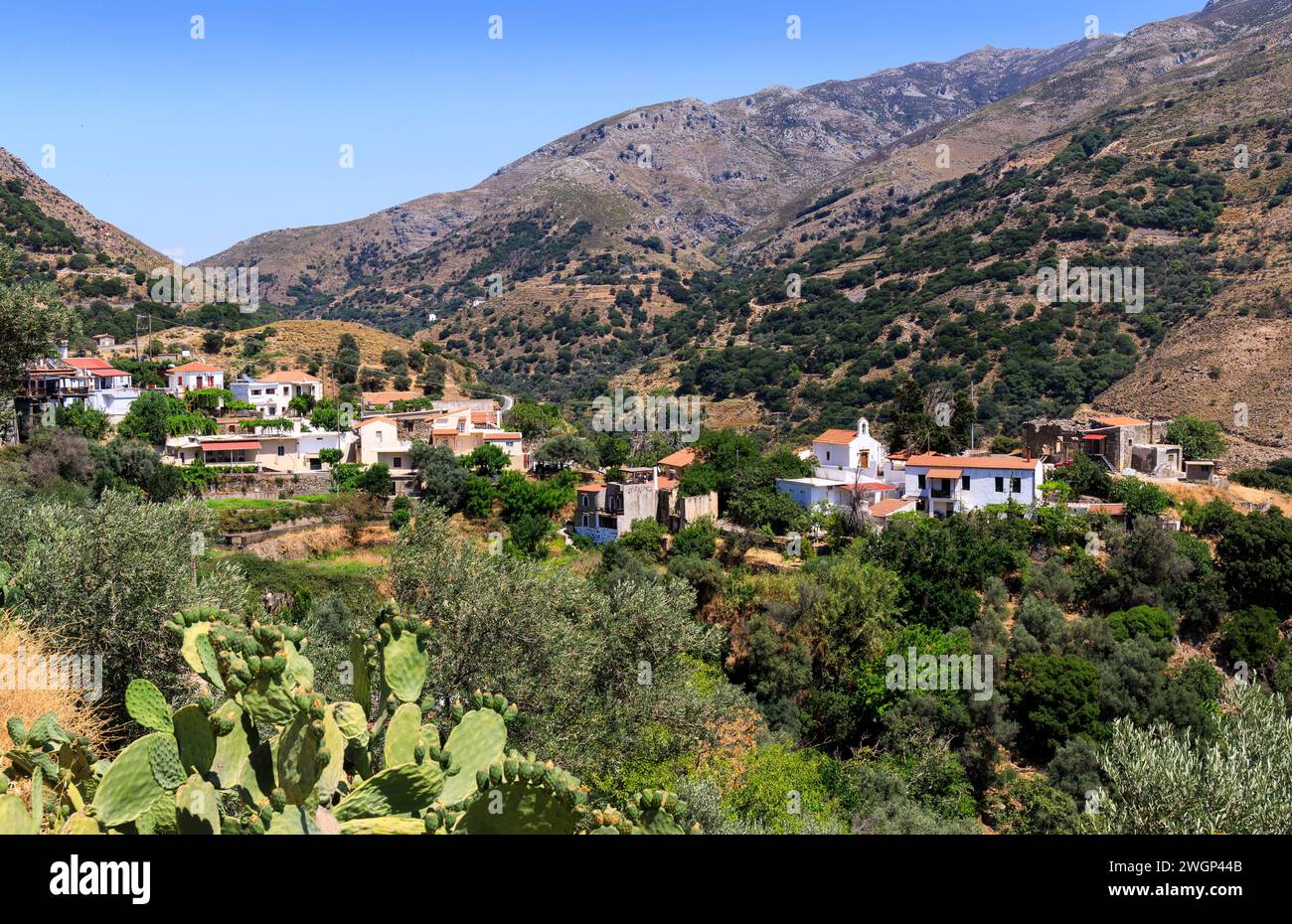 Kefali hi-res stock photography and images - Alamy
