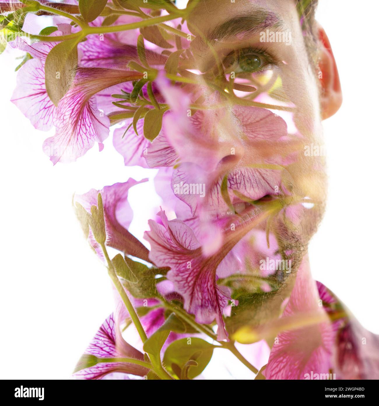 Multiple partially hi-res stock photography and images - Alamy