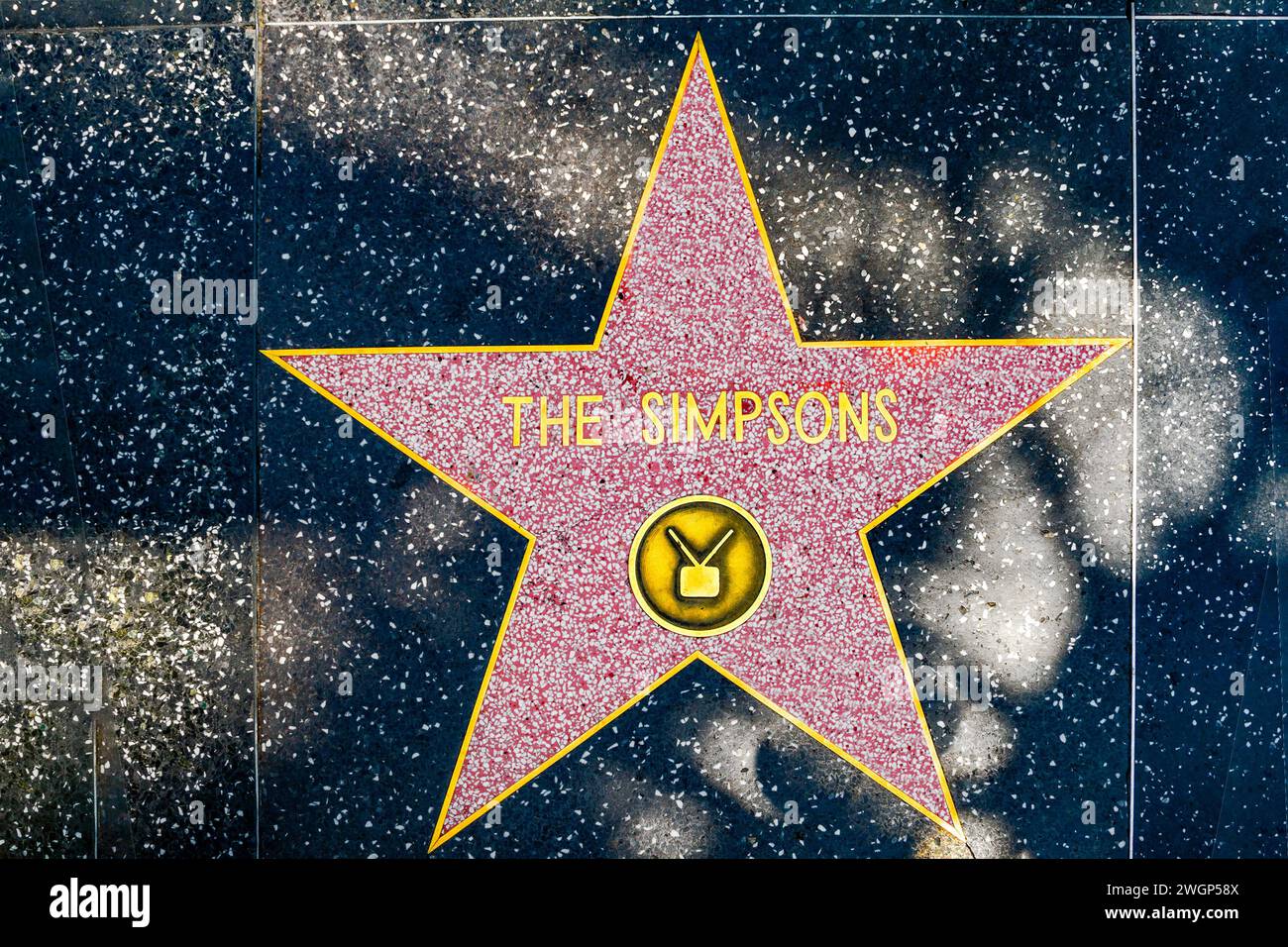 Simpsons star on walk fame hi-res stock photography and images - Alamy