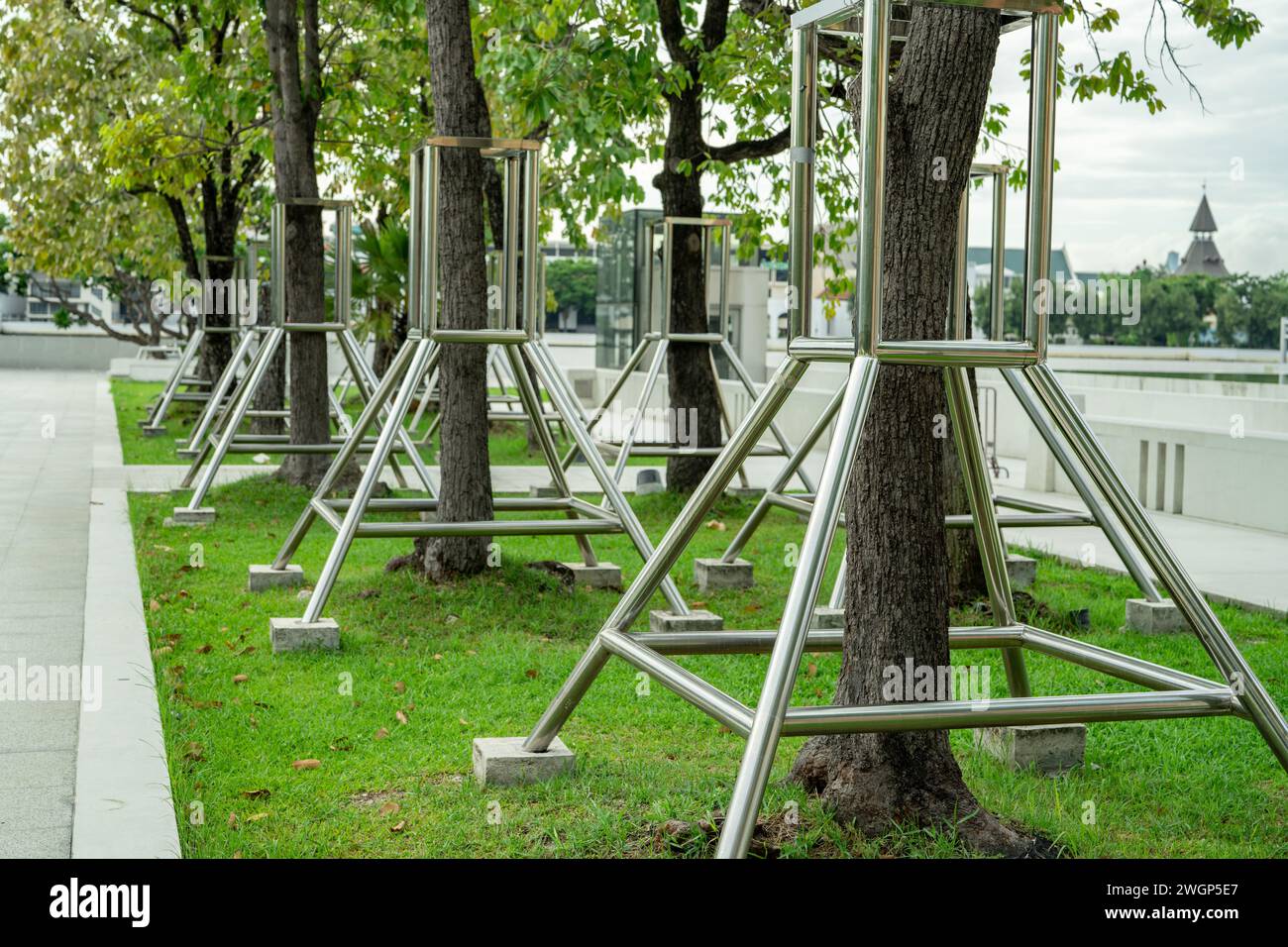 Stainless steel tree support enhances tree stability in outdoor ...