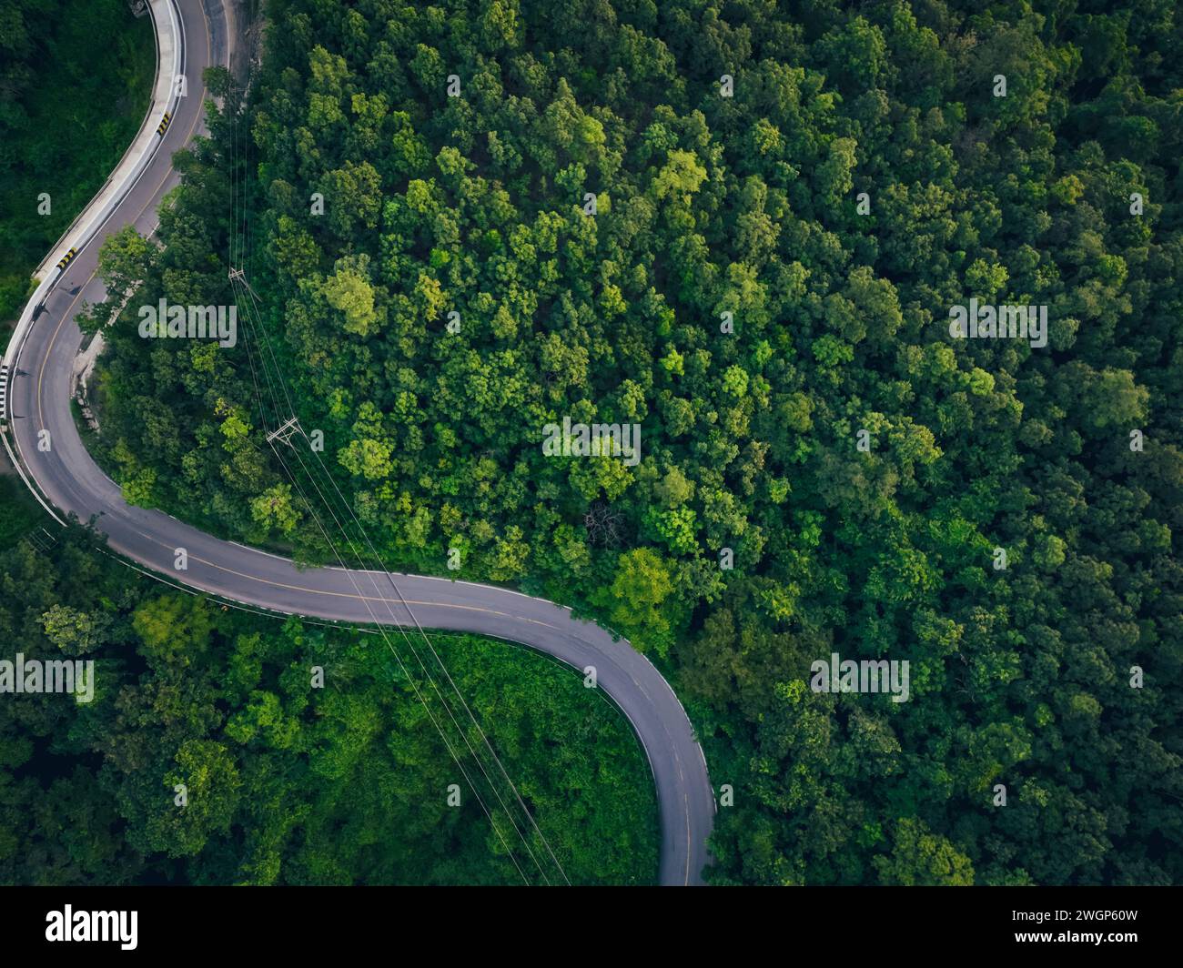 Aerial view of dense green trees in forest capture CO2 and curve ...