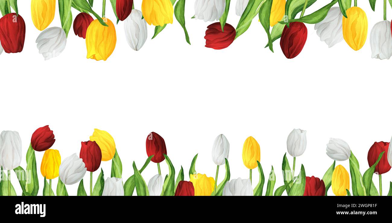 Hand-drawn watercolor illustration. Seamless floral borders with ...