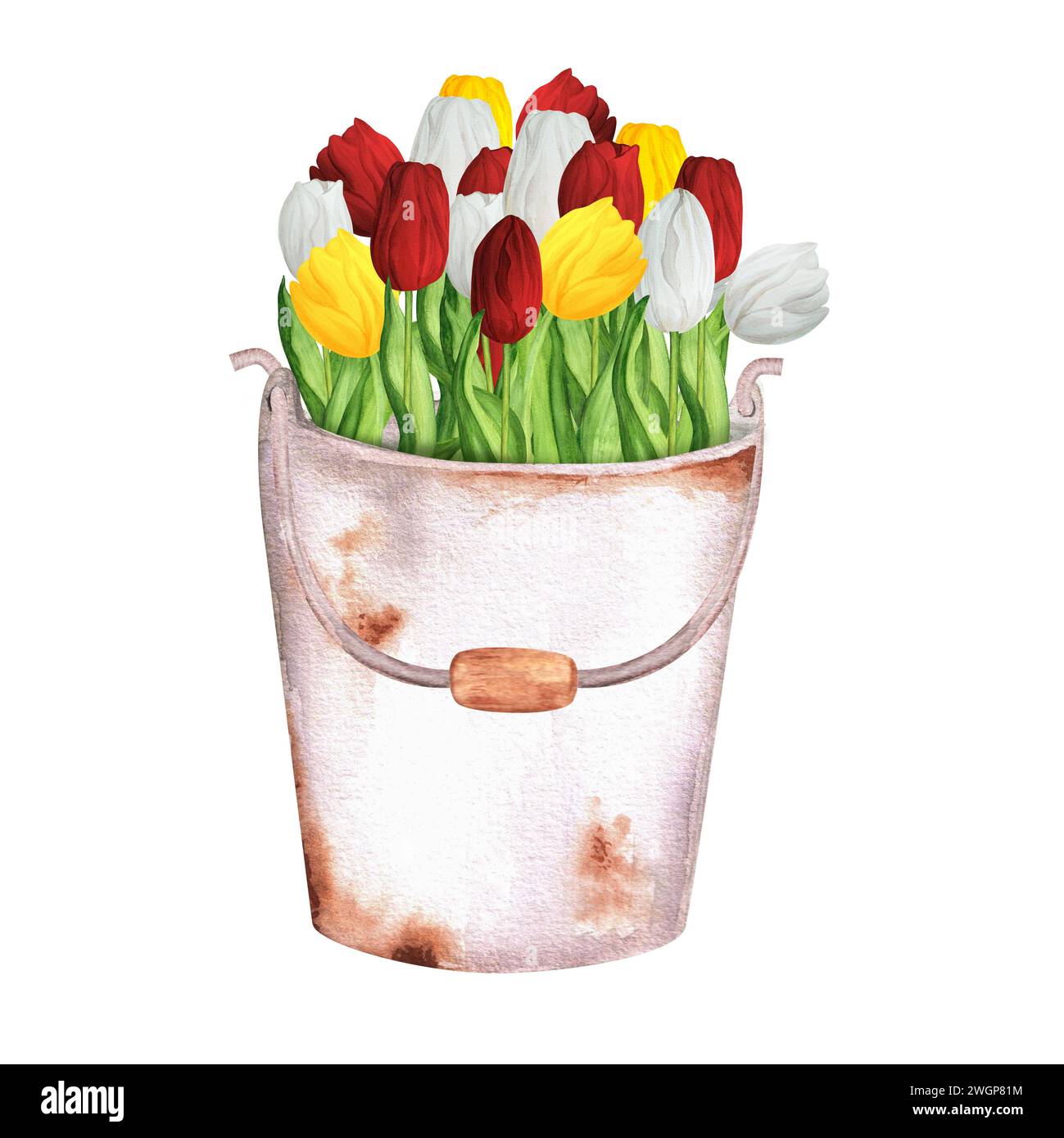 Hand-drawn watercolor illustration. Rusty metal bucket with a bunch of ...