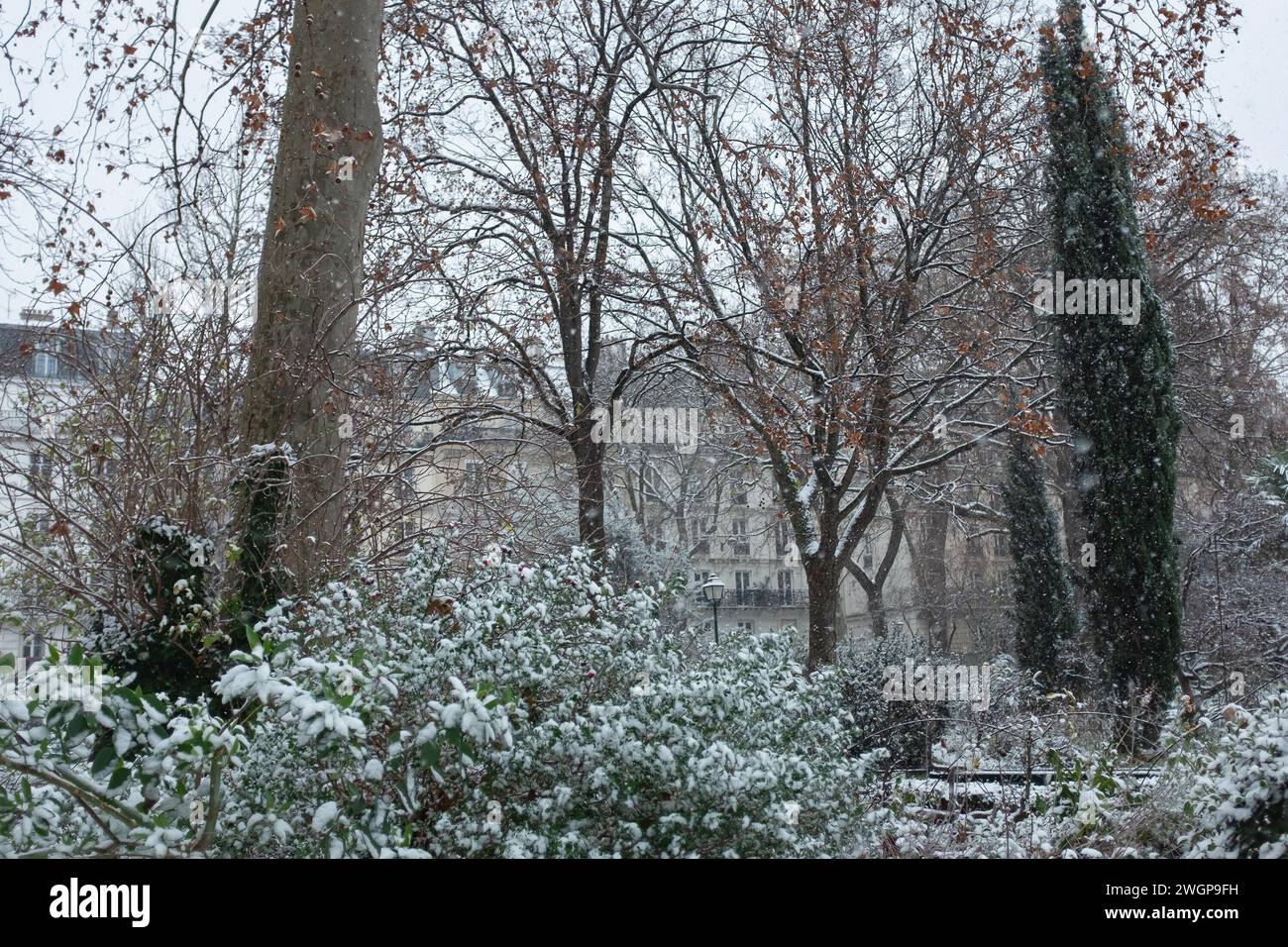Paris, France, 2021. Snow falling on the trees and plants in a public ...