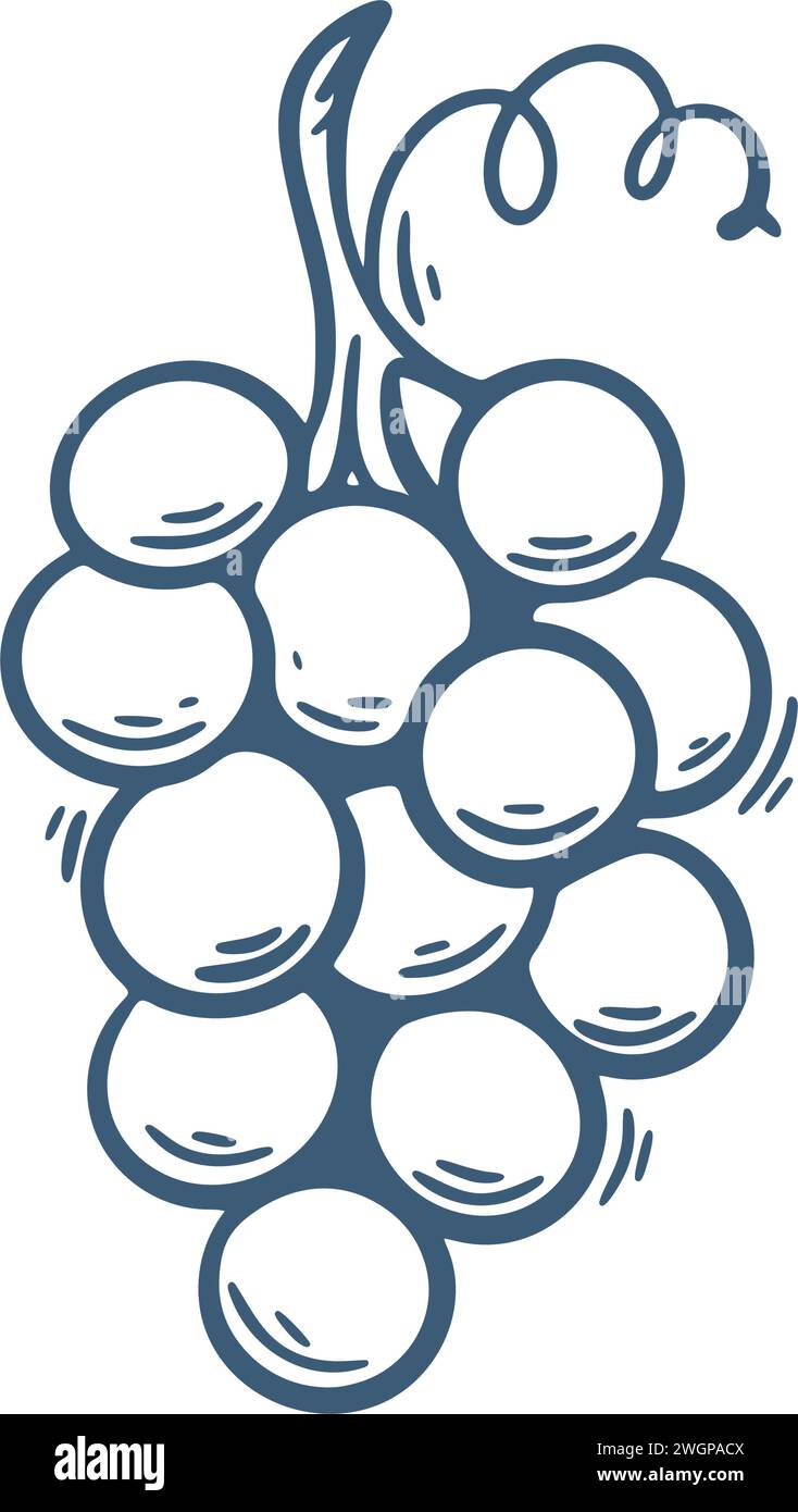 Blue seeds Stock Vector Images - Alamy