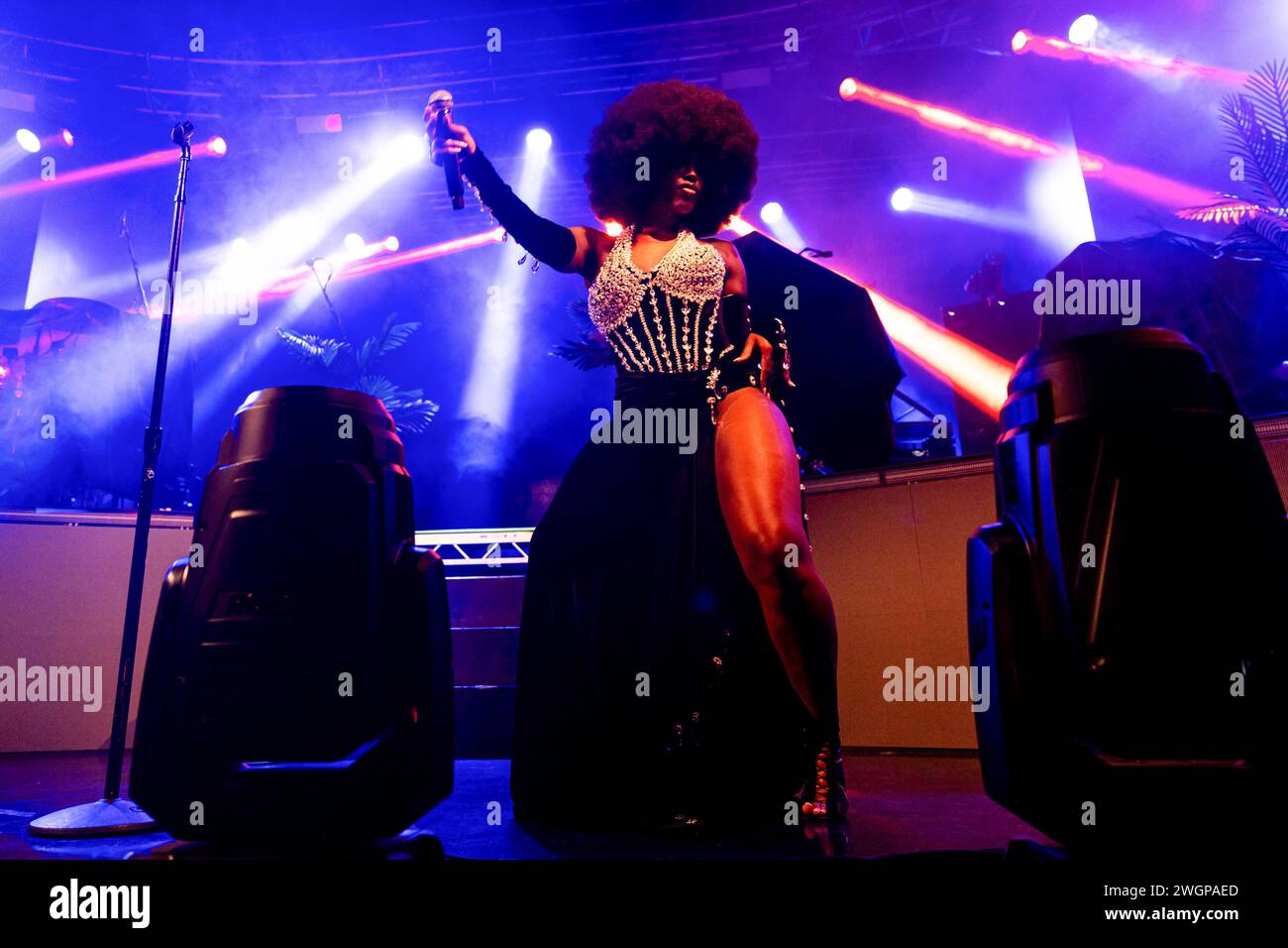 Tanerelle 2024 hi-res stock photography and images - Alamy