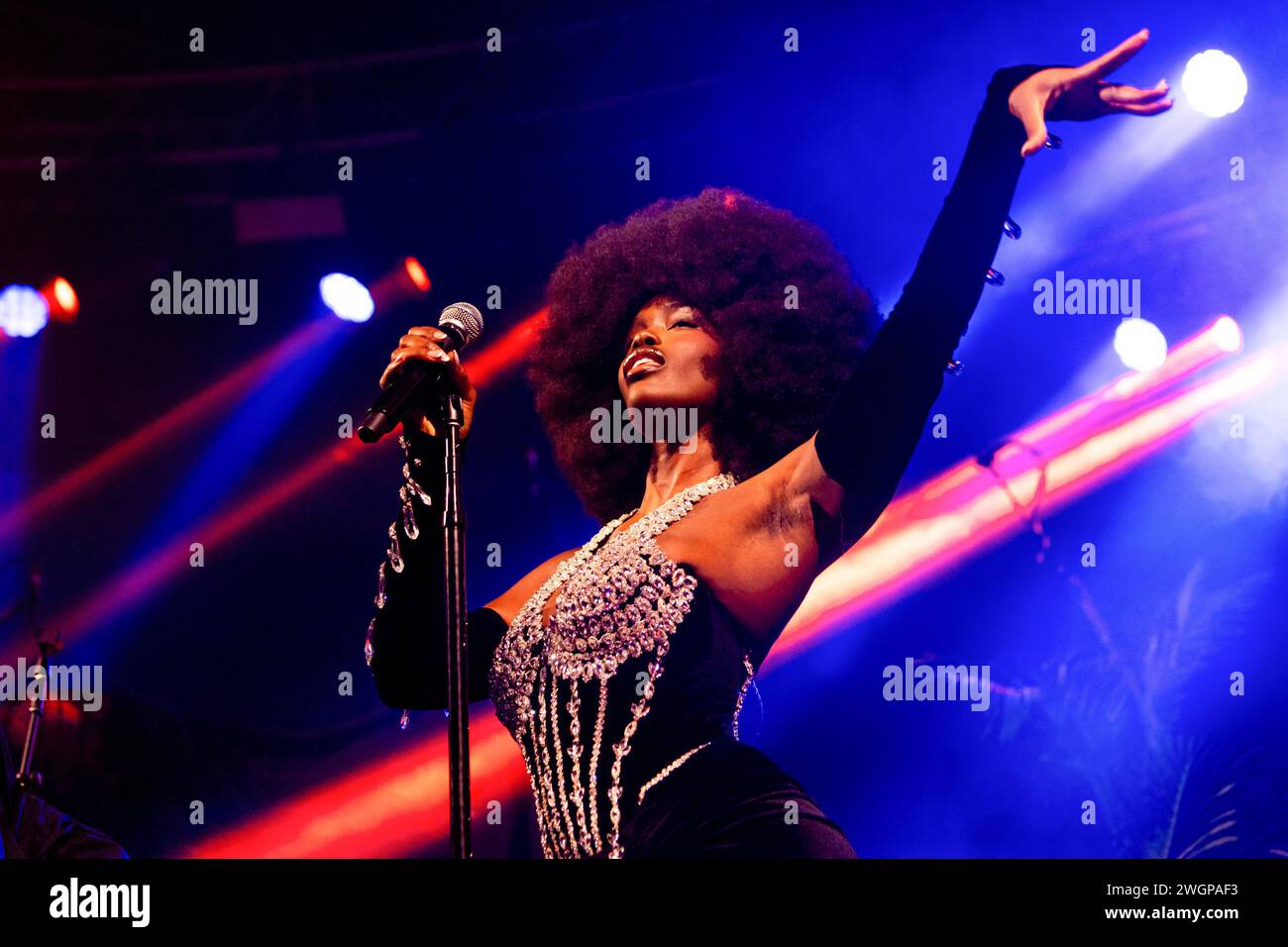 Tanerelle 2024 hi-res stock photography and images - Alamy