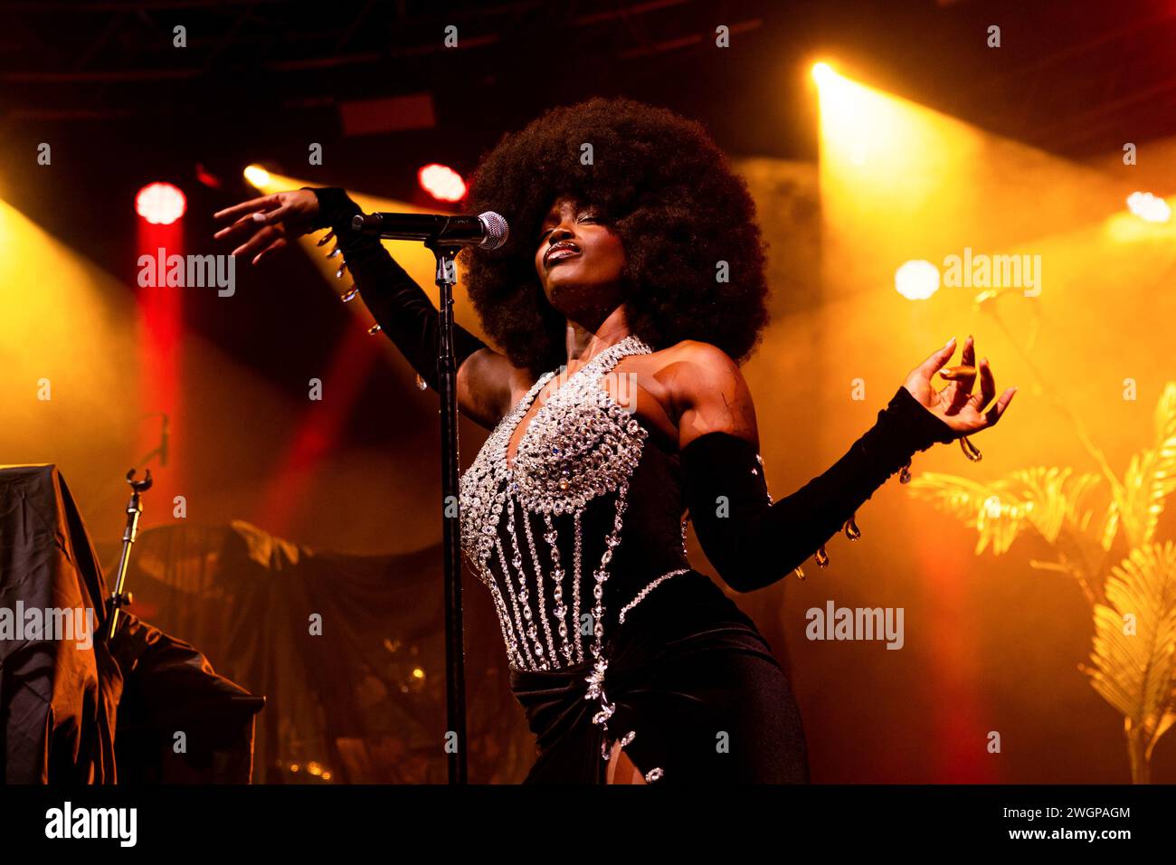 Tanerelle music concert hi-res stock photography and images - Alamy