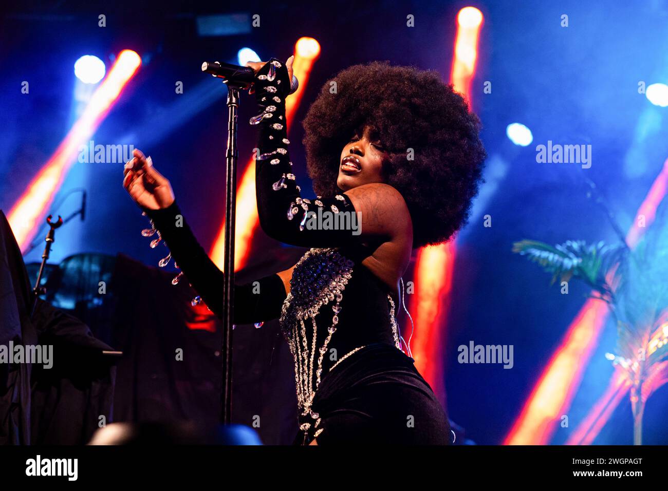 Tanerelle concert hi-res stock photography and images - Alamy