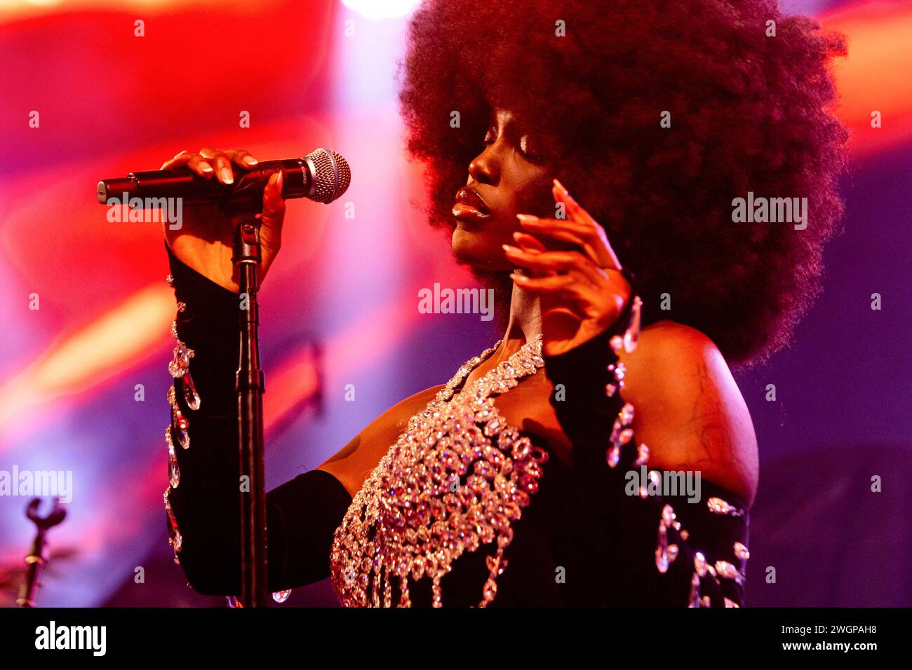 Tanerelle 2024 hi-res stock photography and images - Alamy