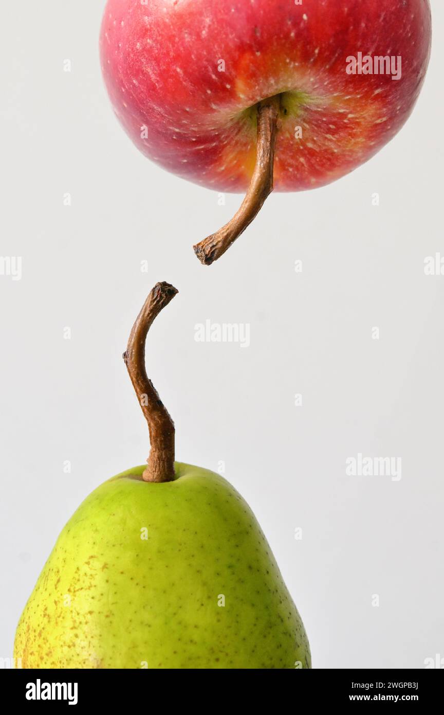 Fruits connection hi-res stock photography and images - Alamy