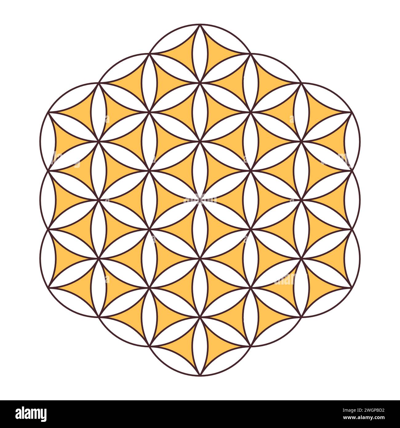 Sacred geometry vector design element. Alchemy, religion, philosophy ...