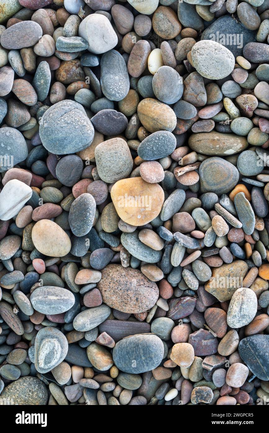 Frosted Pebbles on the Beach. Morayshire, Scotland Stock Photo - Alamy