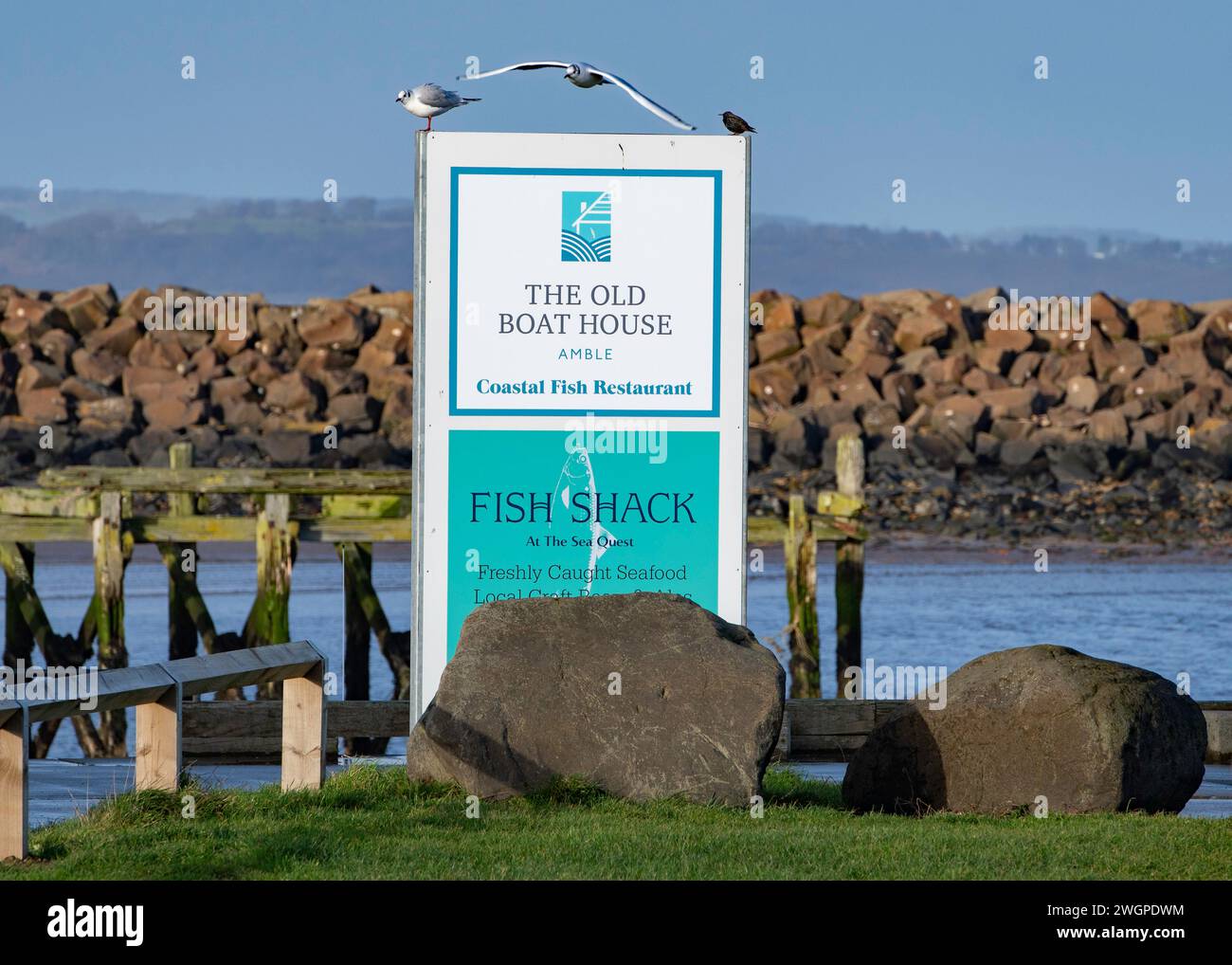 Amble, coastal town in Northumberland, England, UK Stock Photo - Alamy