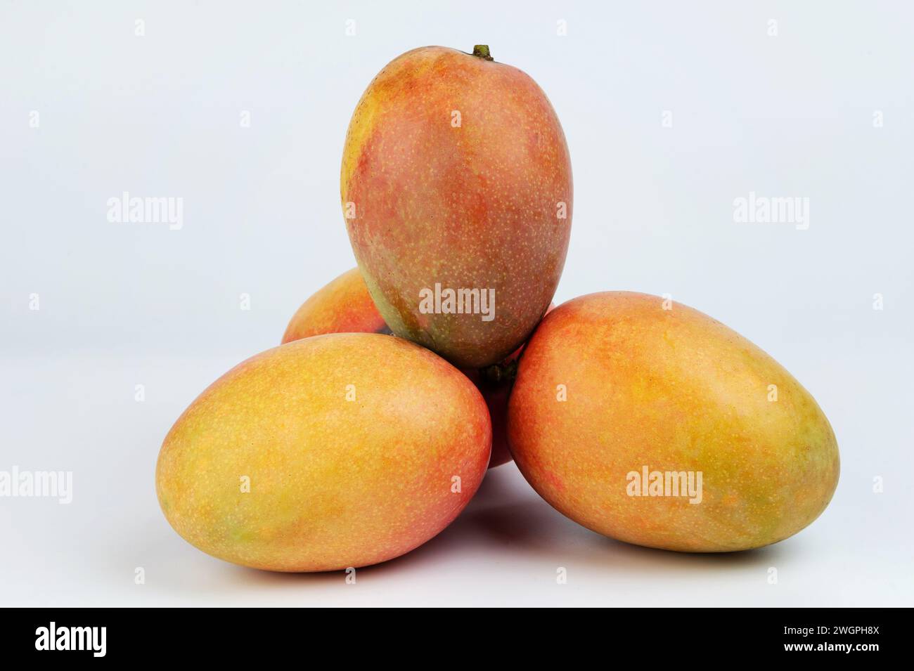 Pile of yellow mango vegetables isolated on white studio background ...