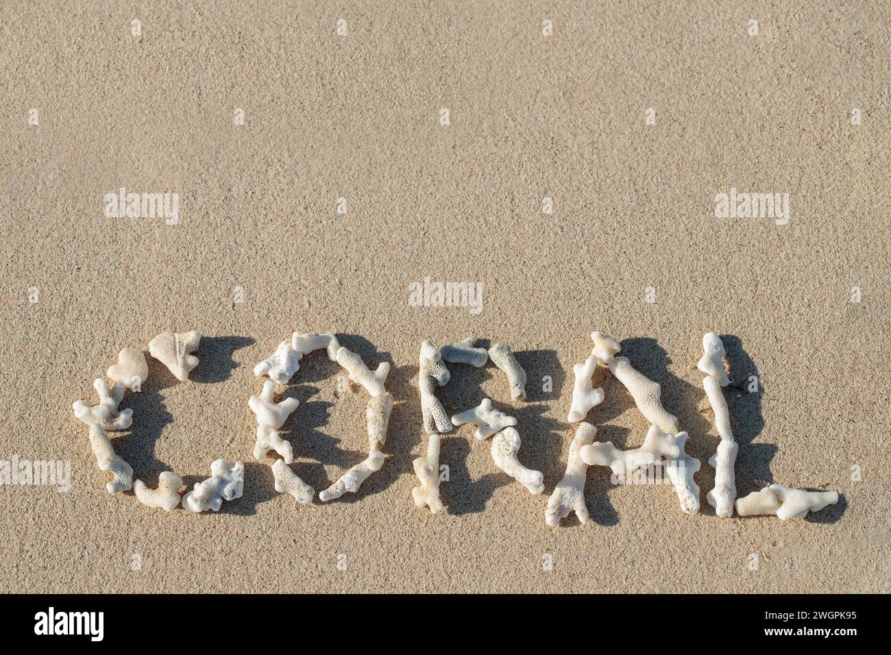 Seas coral hi-res stock photography and images - Alamy