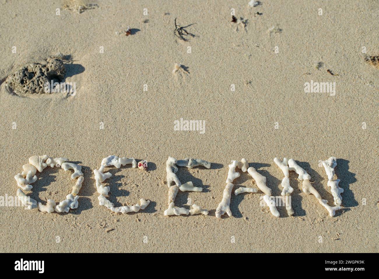 The word "ocean" written in the sand with peaces of dead corals on a ...