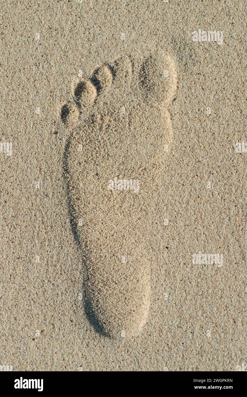 Left human footprint in the sand of a beach. Concept for "fading Stock ...