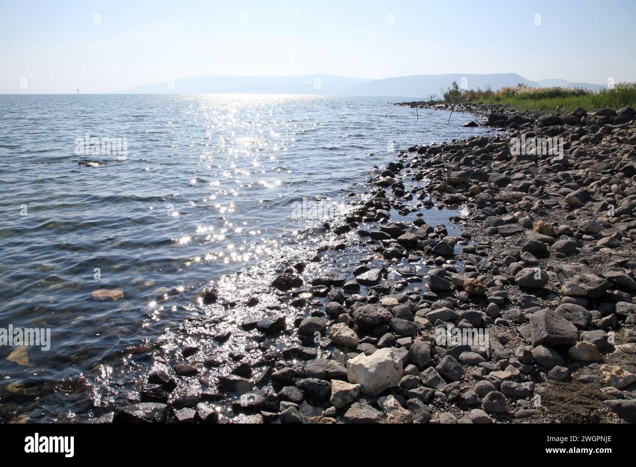 Tabgha israel hi-res stock photography and images - Alamy