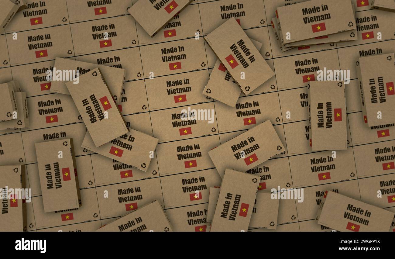 Made in Vietnam box production line. Manufacturing and delivery ...