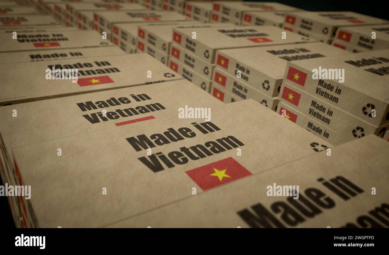 Made in Vietnam box production line. Manufacturing and delivery ...