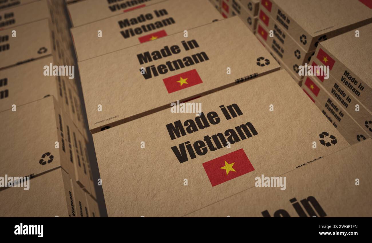 Made in Vietnam box production line. Manufacturing and delivery ...