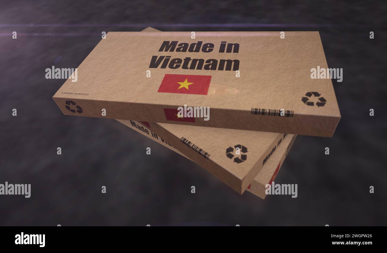 Made in Vietnam box production line. Manufacturing and delivery ...