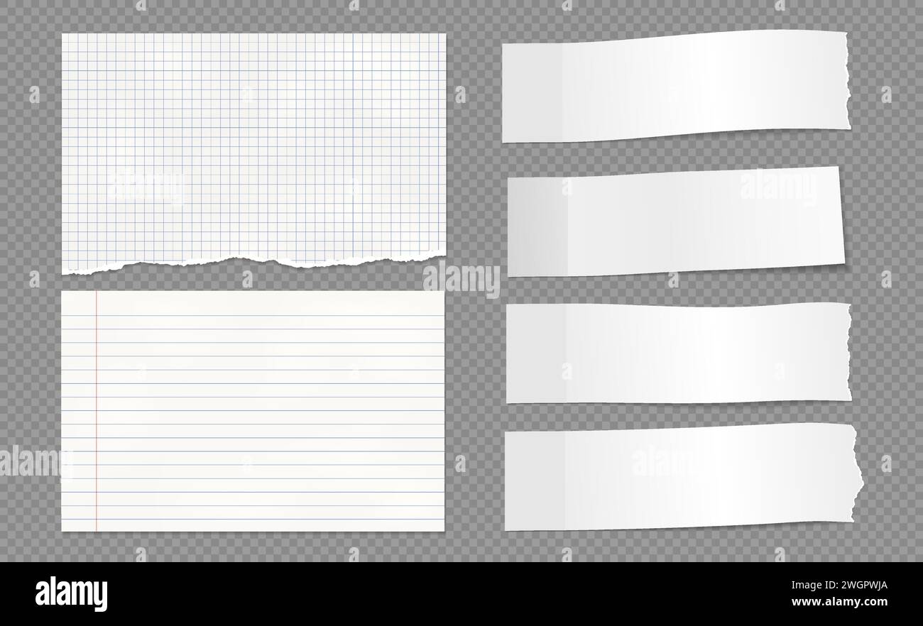 Set of torn, ripped lined, math paper strips with soft shadow are on ...