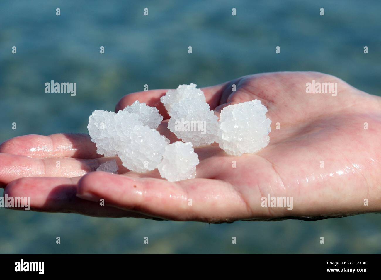 From sea salt hi-res stock photography and images - Alamy