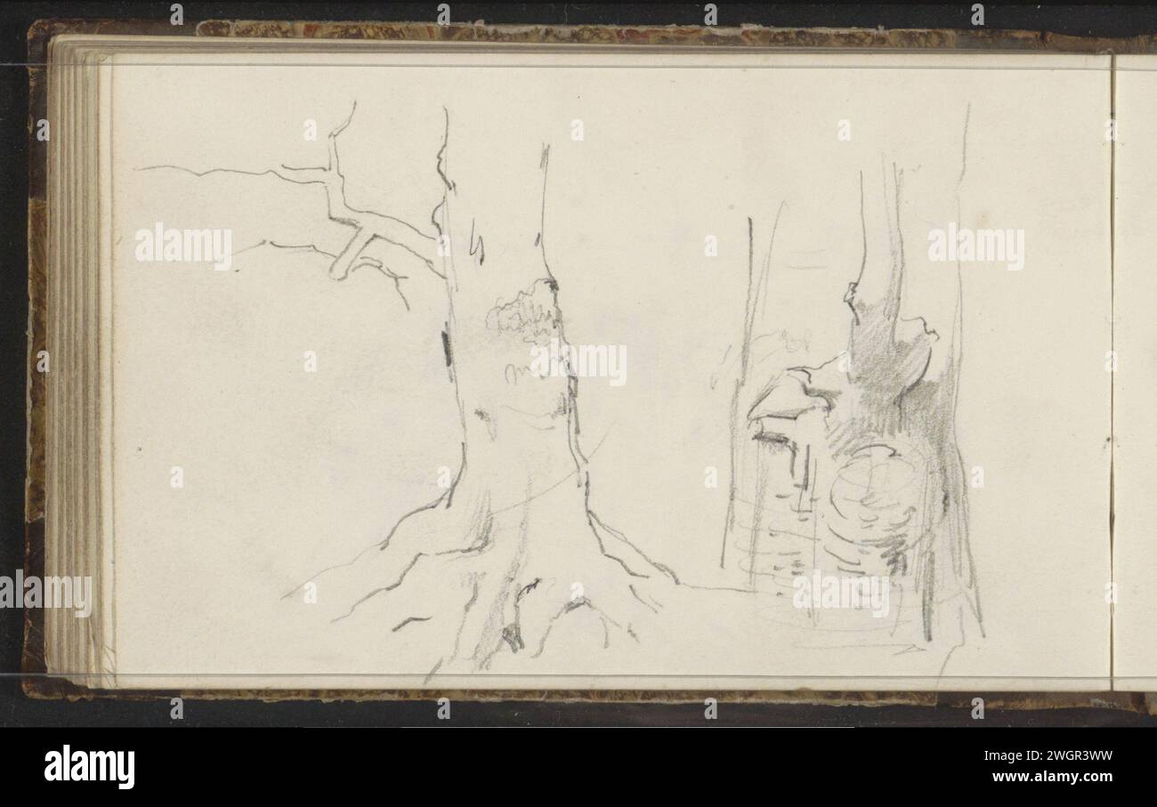 Tree trunks, 1819 - 1849 Leaf 45 Verso from a sketchbook with 60 ...