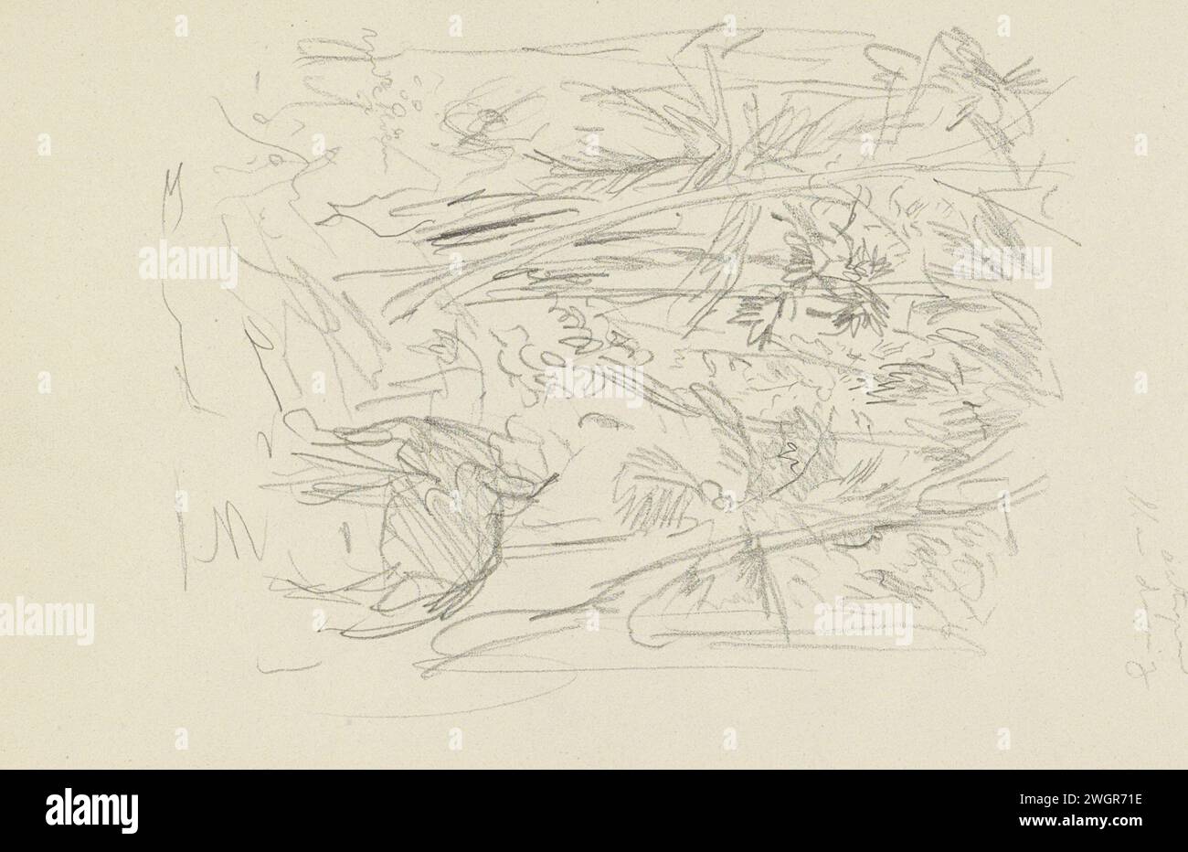 Figure on an elephant in the jungle of India, 1924 - 1925 Page 94 from ...