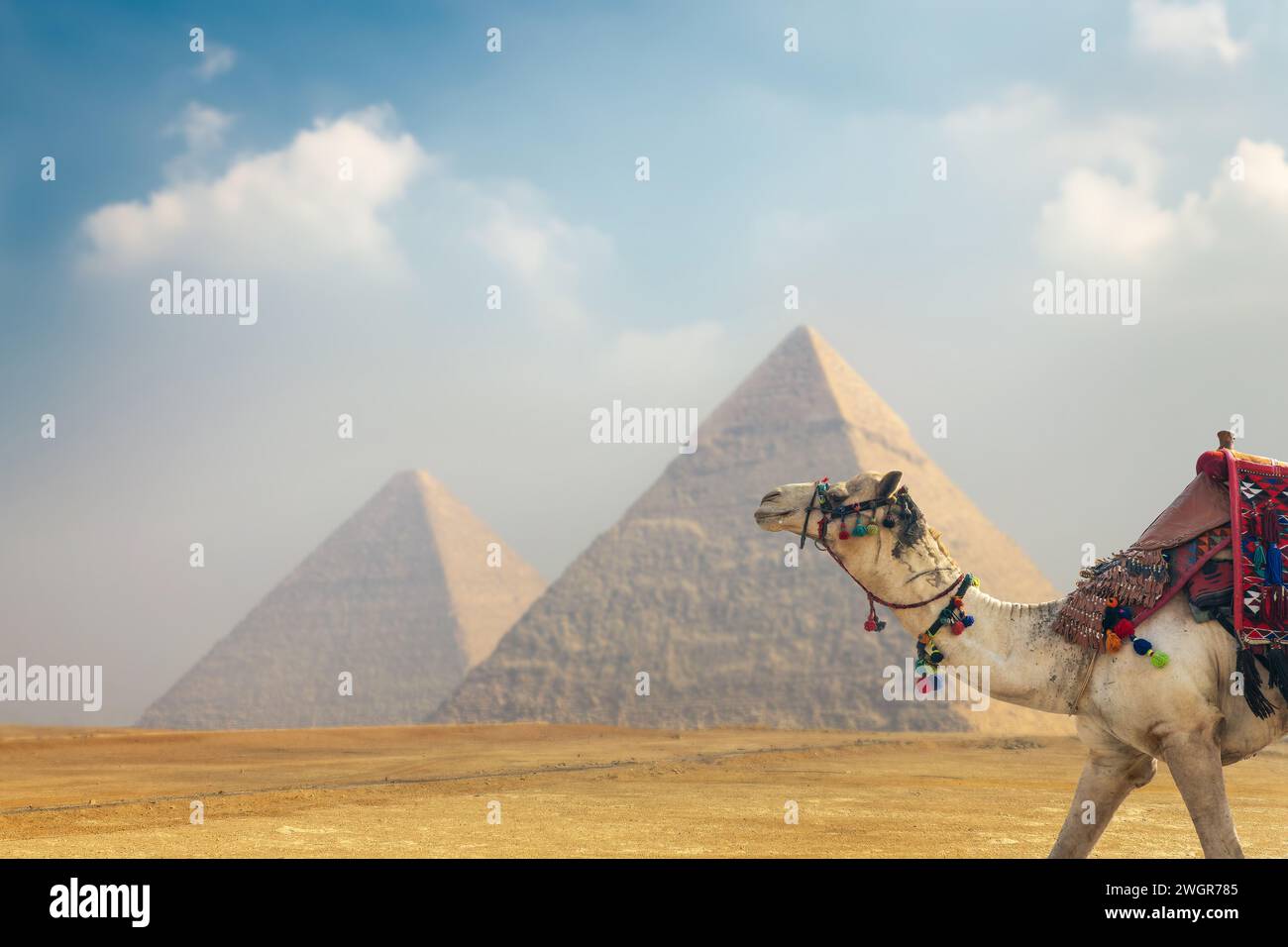 Khuhu hi-res stock photography and images - Alamy