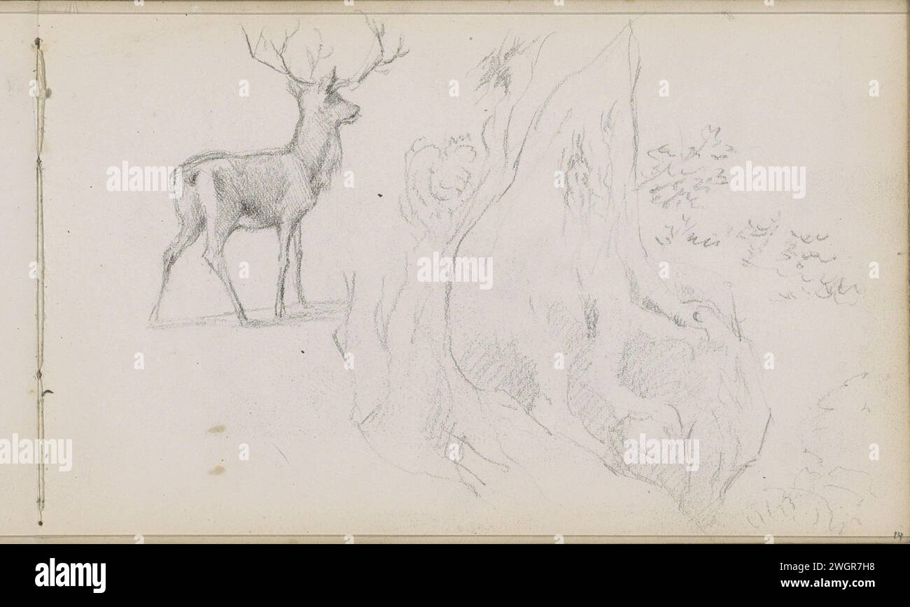 Tree roots and a deer, 1874 - 1875 Page 14 Recto from a sketchbook with ...