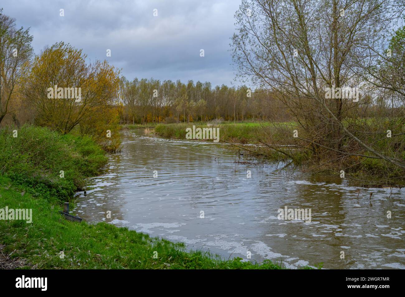Near Cuton Lock on the River Chelmer flooded by winter rain in 2023 ...